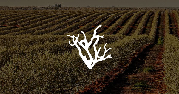 Egeida - Gift of Earth
